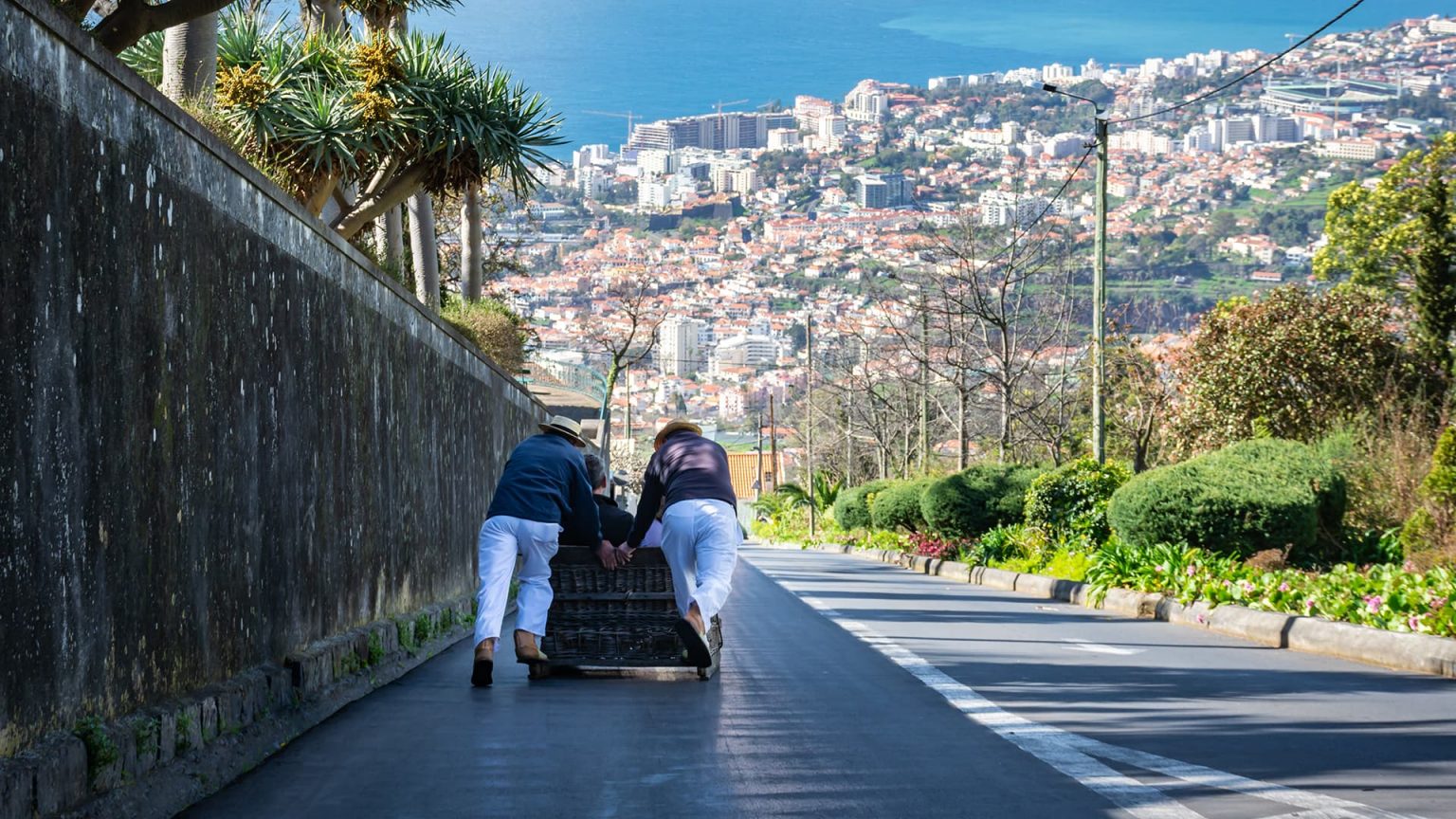 🚡 Seilbahn Funchal Monte | Absolutes Highlight auf Madeira
